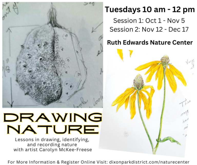 Nature Drawing Lessons - Discover Dixon